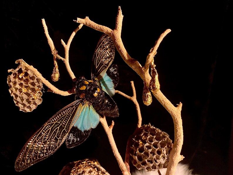 Blue Cicada Honey - Etsy