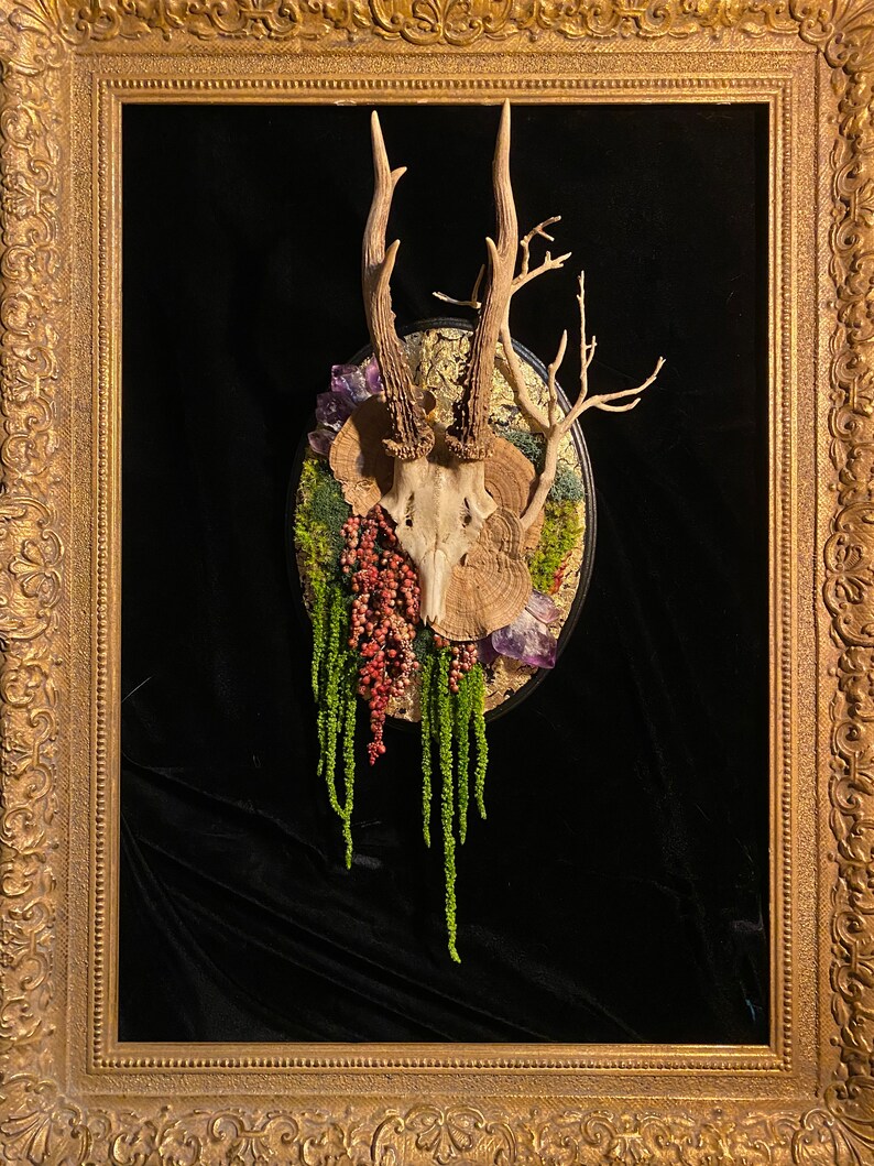 Roe Deer Mount With Cathedral Amethyst Points - Etsy