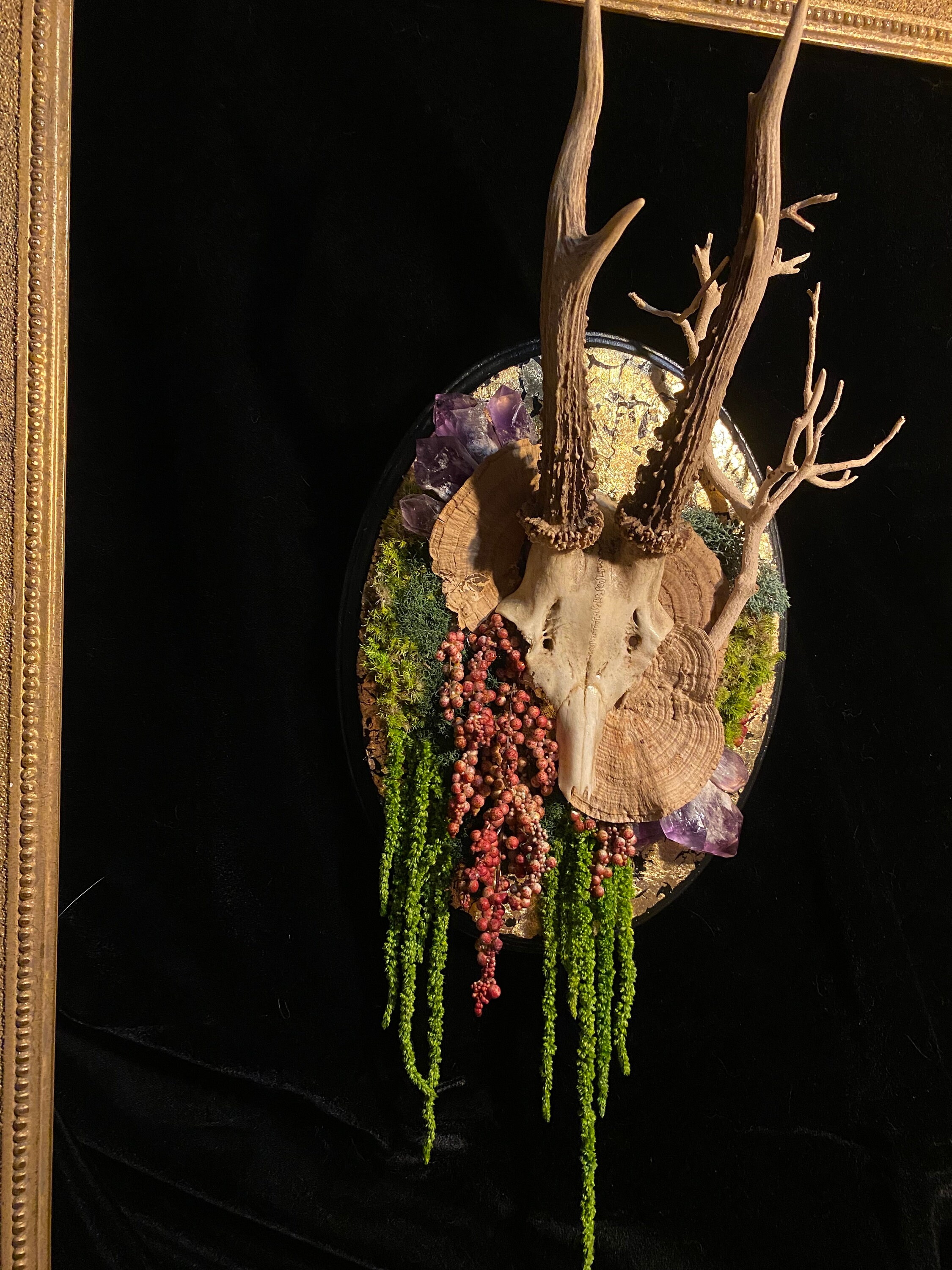 Roe Deer Mount With Cathedral Amethyst Points - Etsy