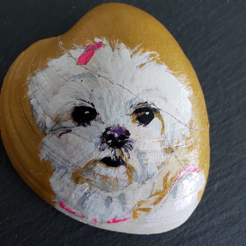 Handpainted Real Seashells - Etsy