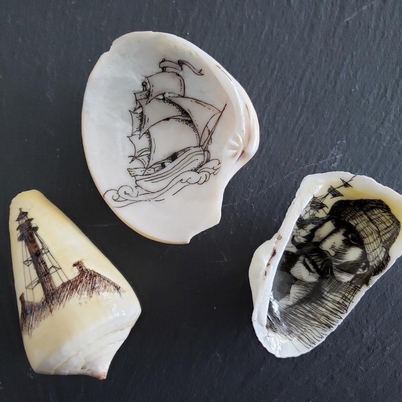 Handpainted Real Seashells - Etsy