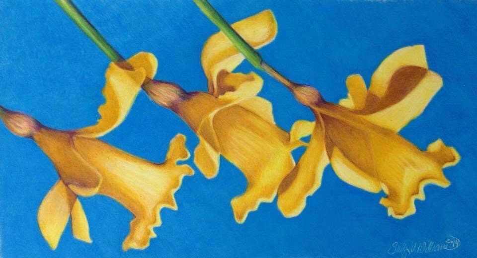 Floral Study in Colored Pencil - Etsy