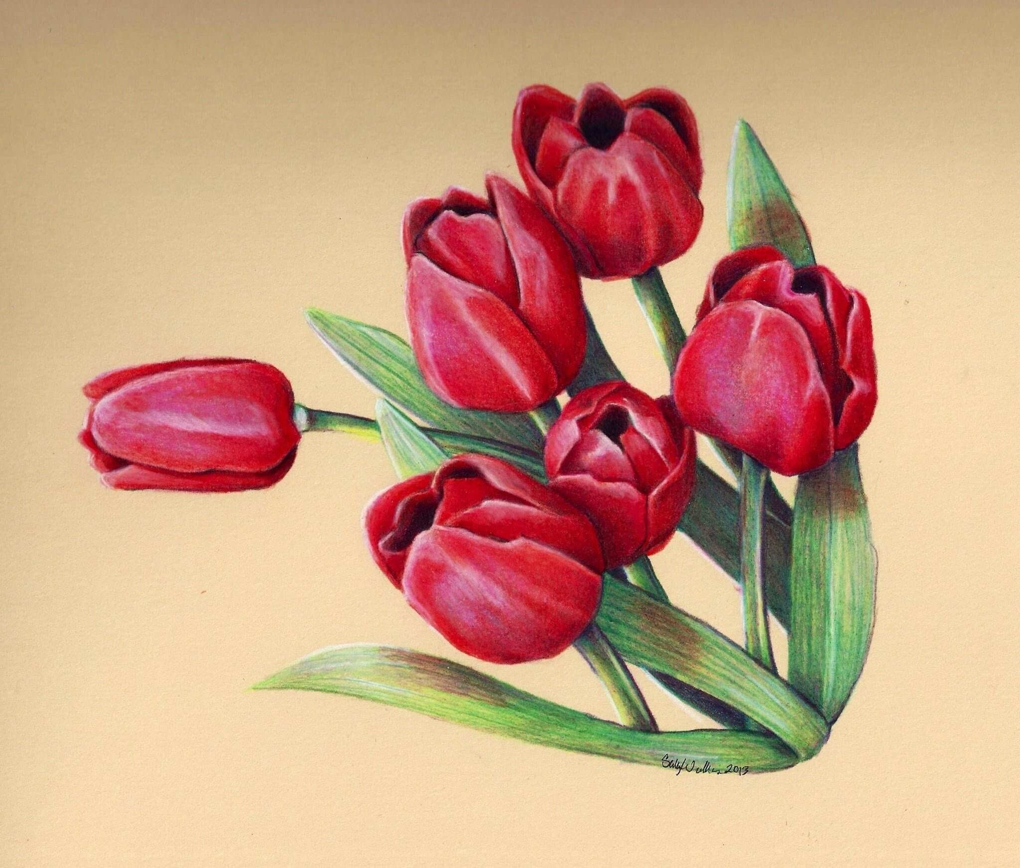 Floral Study in Colored Pencil - Etsy