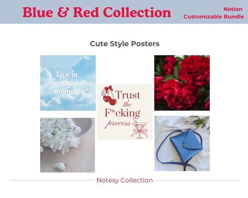 Notion Customizable Bundle | Canva Customizable Bundle | Blue & Red ...