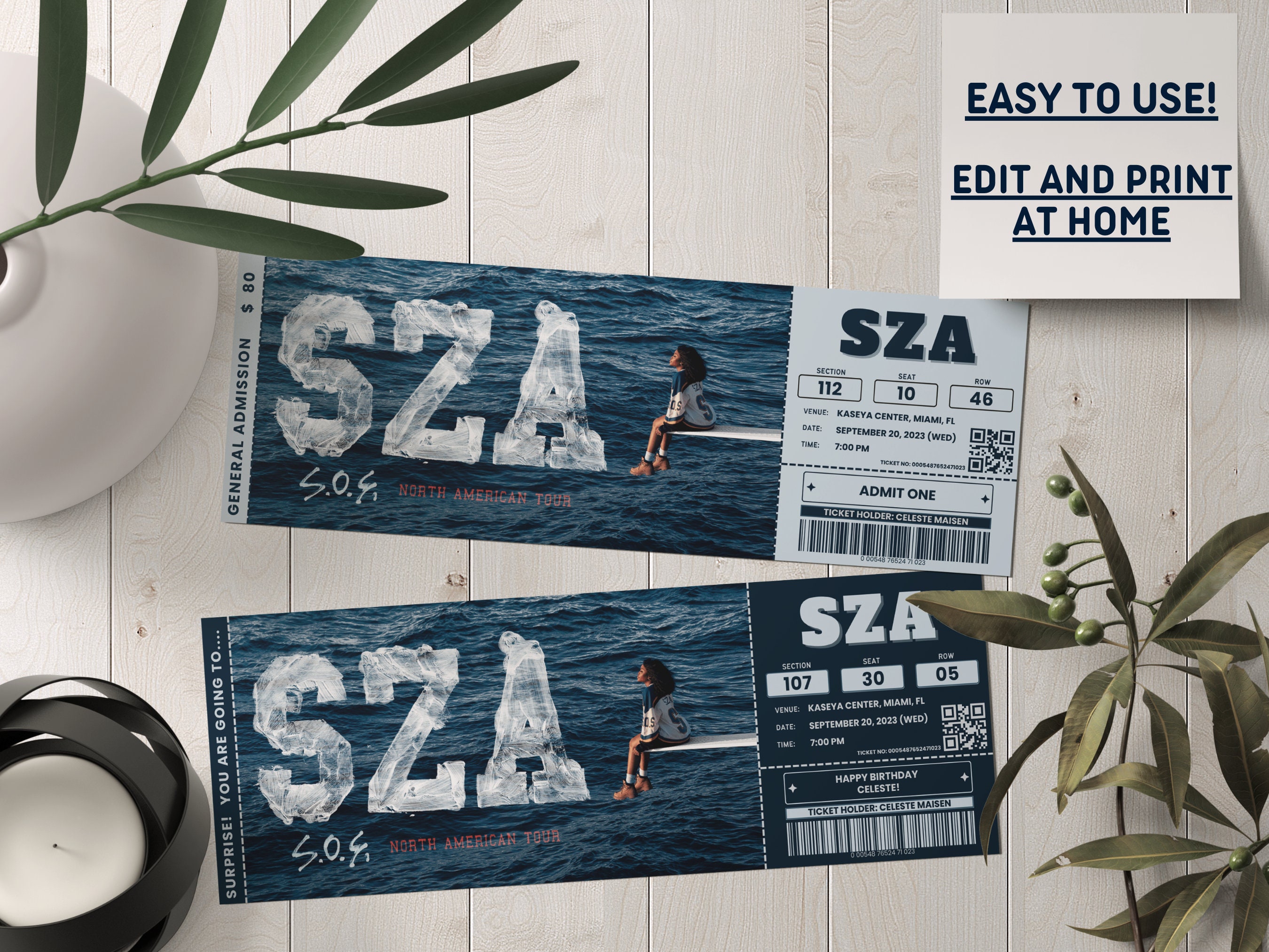 SZA SOS Tour Konzertkarte Canva Template Ticket Überraschungsgeschenk ...