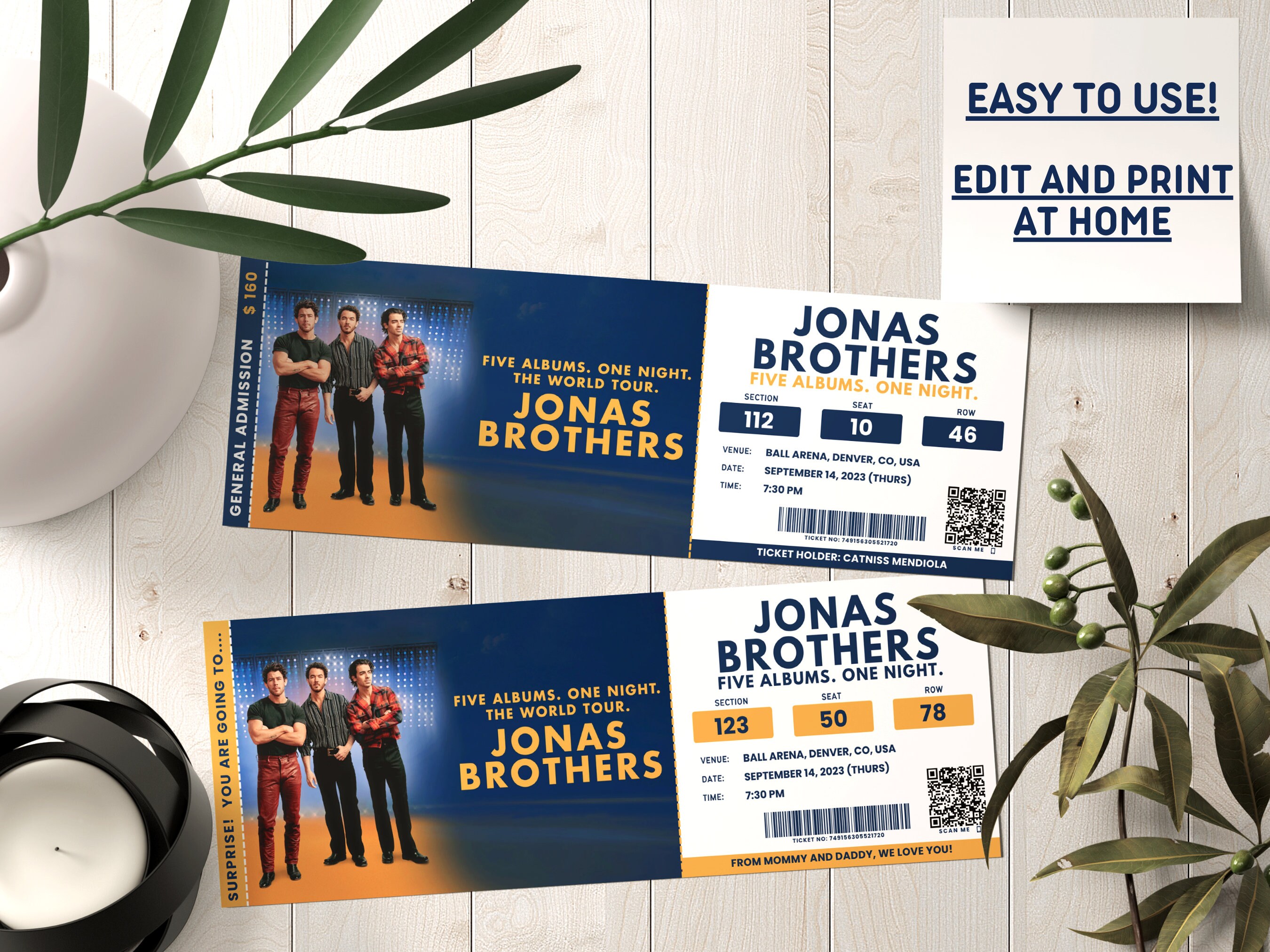 Jonas Brothers Ticket the Five Albums One Night Tour, Editable Canva ...