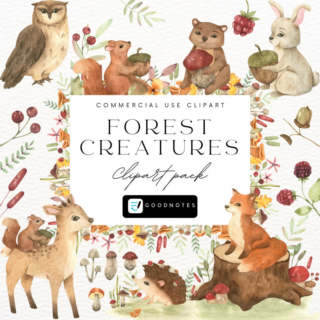 Watercolor Forest Animal PNG, Woodland Animal, Baby Shower, Nursery ...
