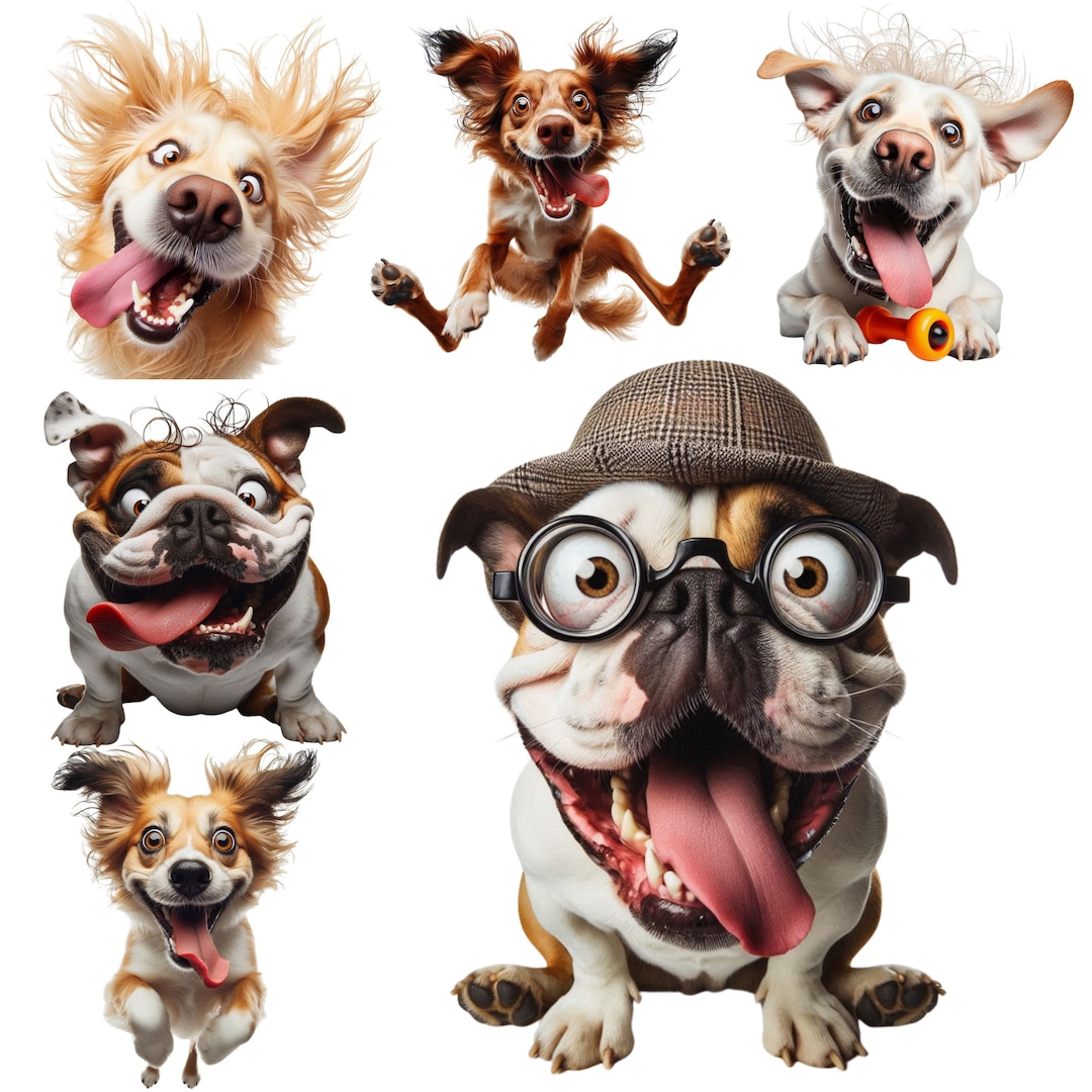 6 Crazy Dog PNG Pack , Funny Dog Clipart , Dog Digital Print , Cartoon ...