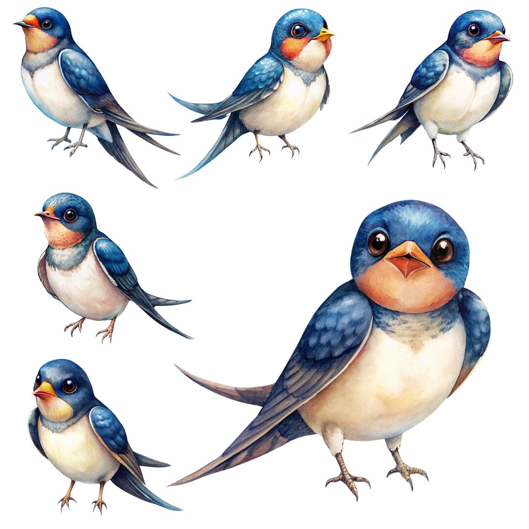 Watercolor Swallow Bird Clip Art Pack , Bird PNG Pack , Watercolor Bird ...