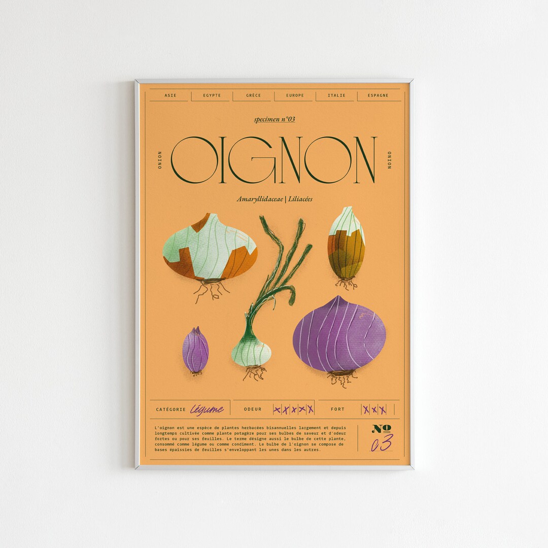 Onion Poster | Specimen N.03 - Poster - Etsy