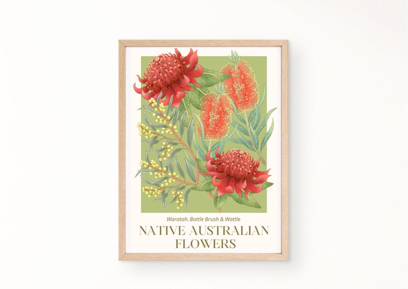 Australian Native Flower/flora Print Bottle Brush, Wattle & Waratah ...