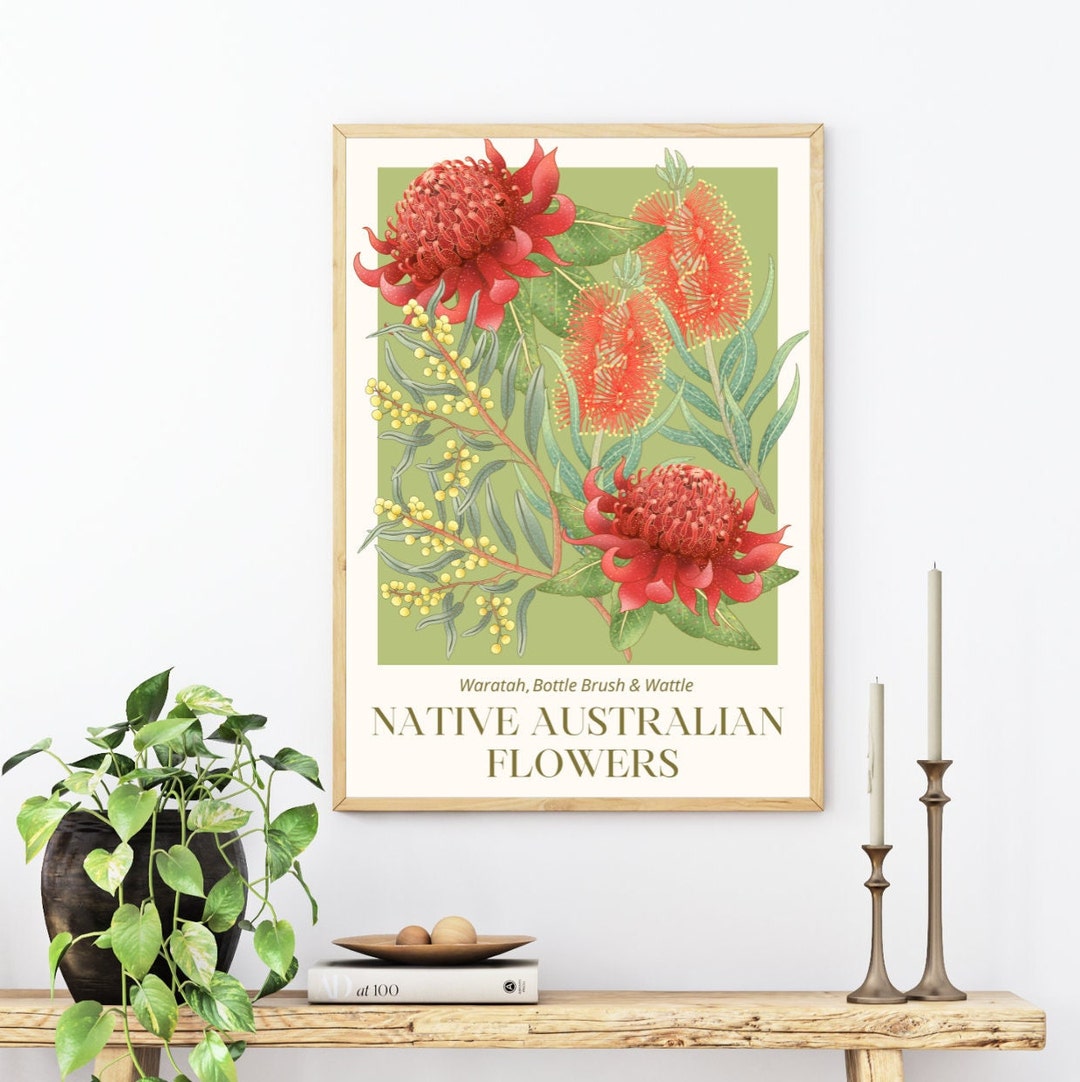 Australian Native Flower/flora Print Bottle Brush, Wattle & Waratah ...