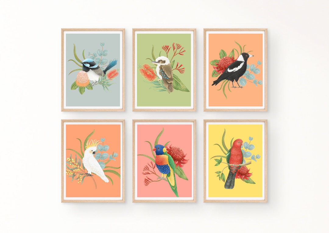Australian Native Wildlife Bird and Native Flower Set of 6 Print / Wall ...