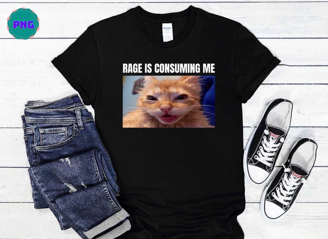 Rage Consumes Me PNG, Rage Consumes Me Cat Funny Cute Kitty Cat Meme ...