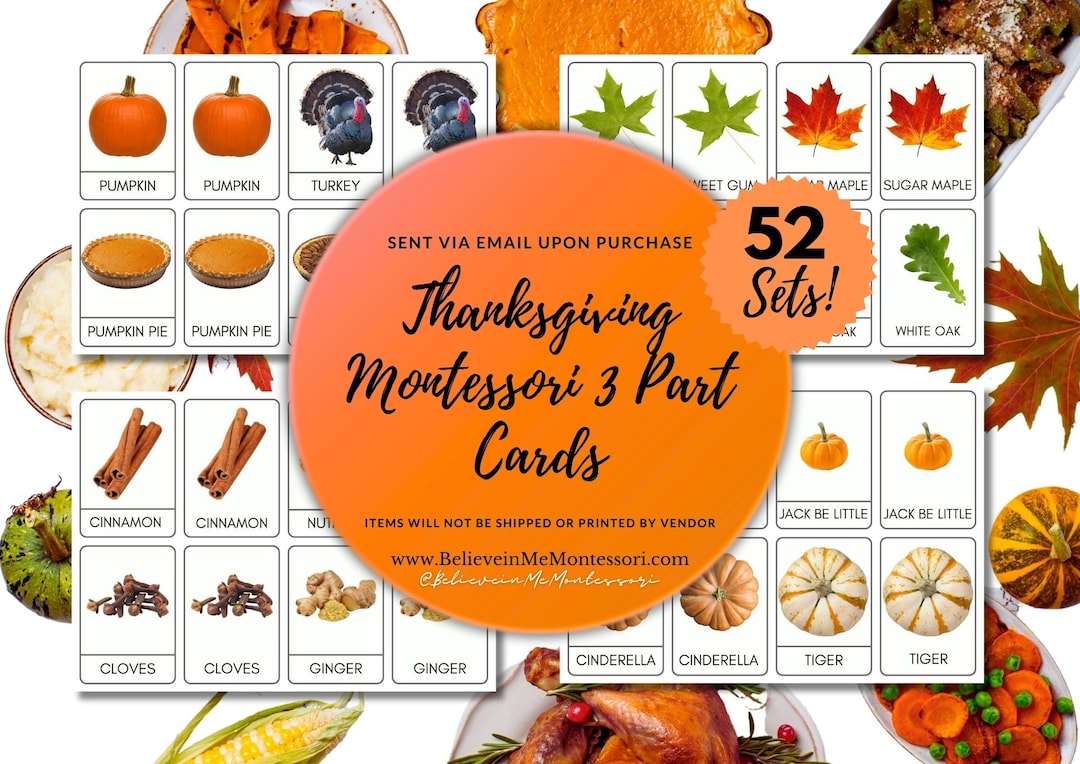 Thanksgiving Montessori 3 Part Cards, Montessori Three Part Cards ...