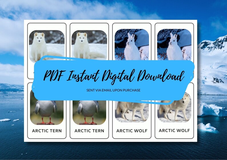Arctic Animals Memory Matching Game: Montessori Learning (PDF) - Etsy