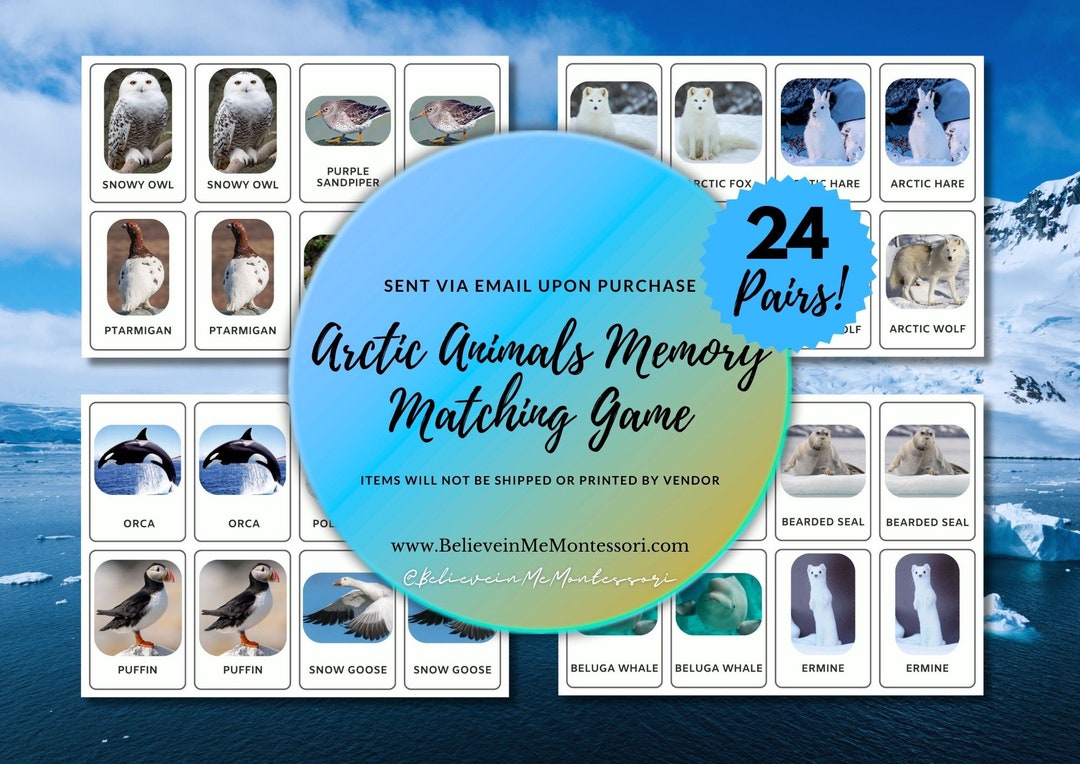 Arctic Animals Memory Matching Game: Montessori Learning (PDF) - Etsy