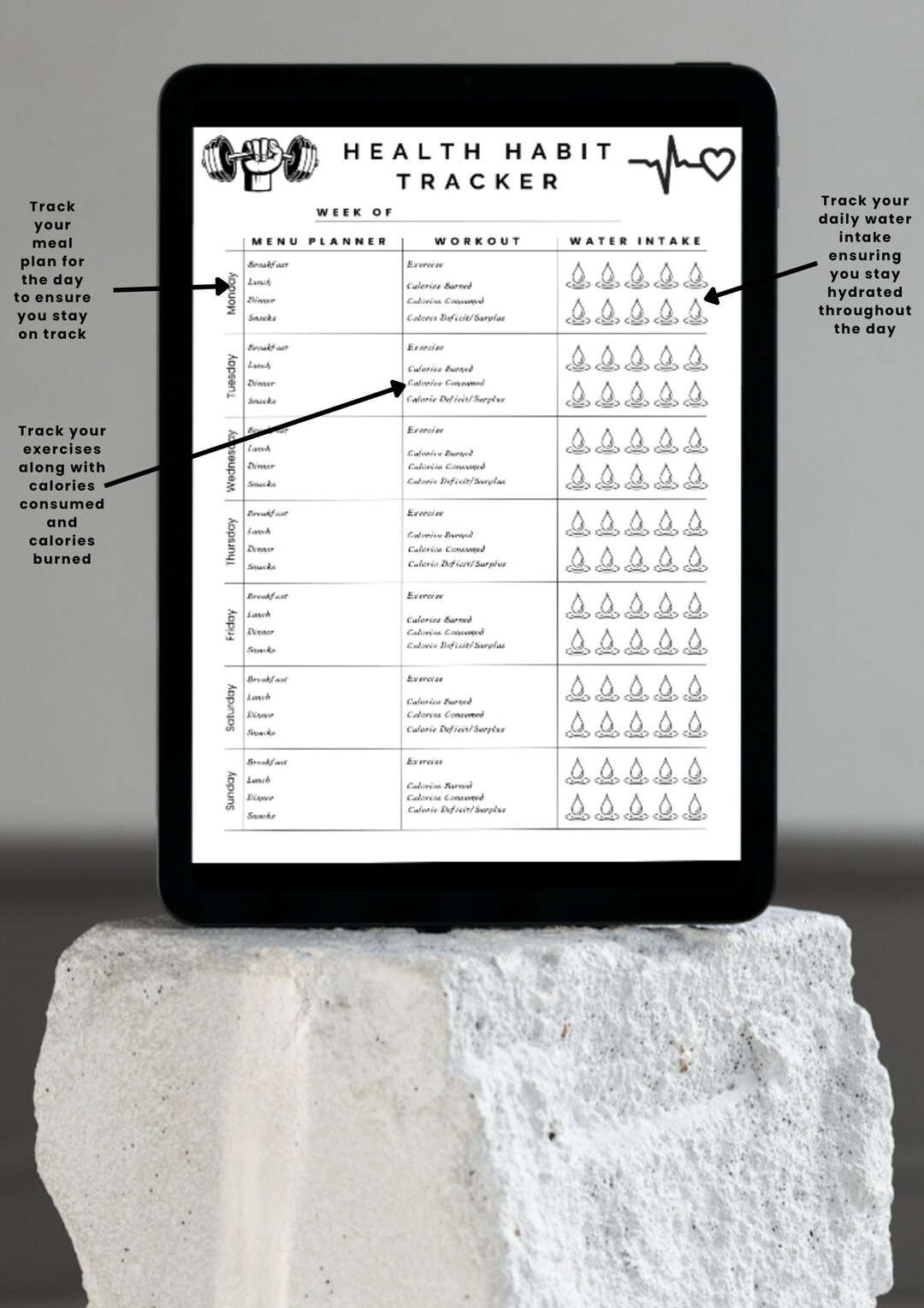 Simple Weekly Health Habit Tracker Health & Fitness iPad - Etsy