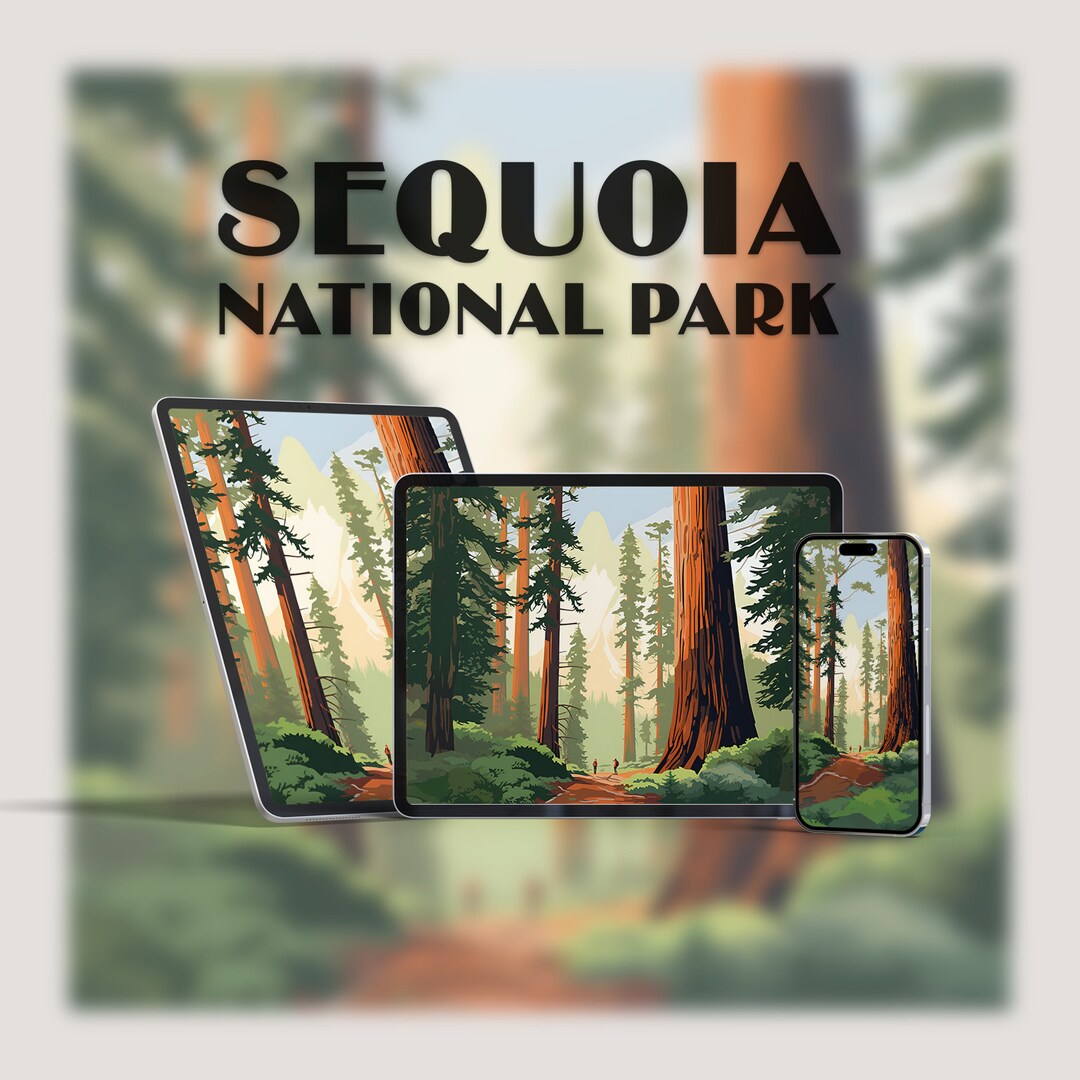 SEQUOIA National Park Wallpaper Phone, Tablet, Laptop ...