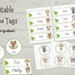 Cute Animal Name Tags, Preschool Resources, Canva PNG Editable Name Tag ...