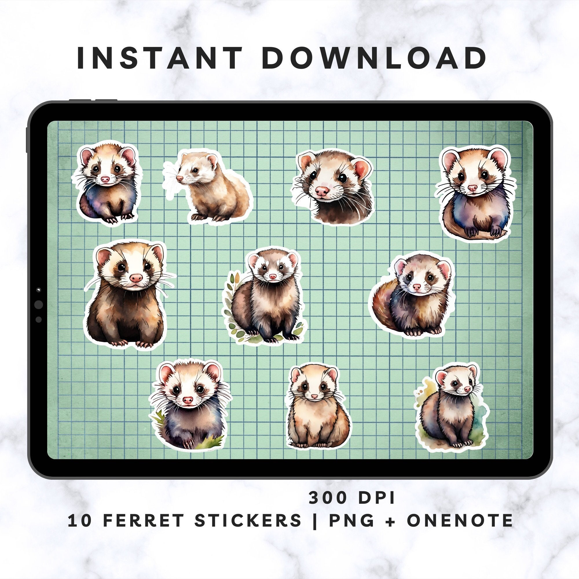 Ferret Stickers Onenote, Printable Ferret Stickers, Digital Ferret ...