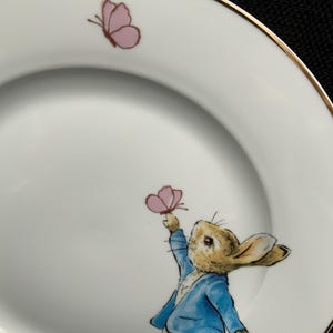 Peter Rabbit Butterfly Garden Plate, Collectible Plate, Rabbit Decor ...