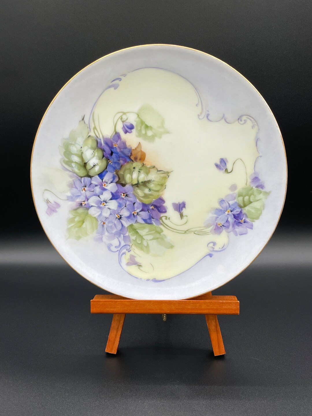 MZ Austria Porcelain Plate, Floral Design, Collectible Decor, Porcelain ...