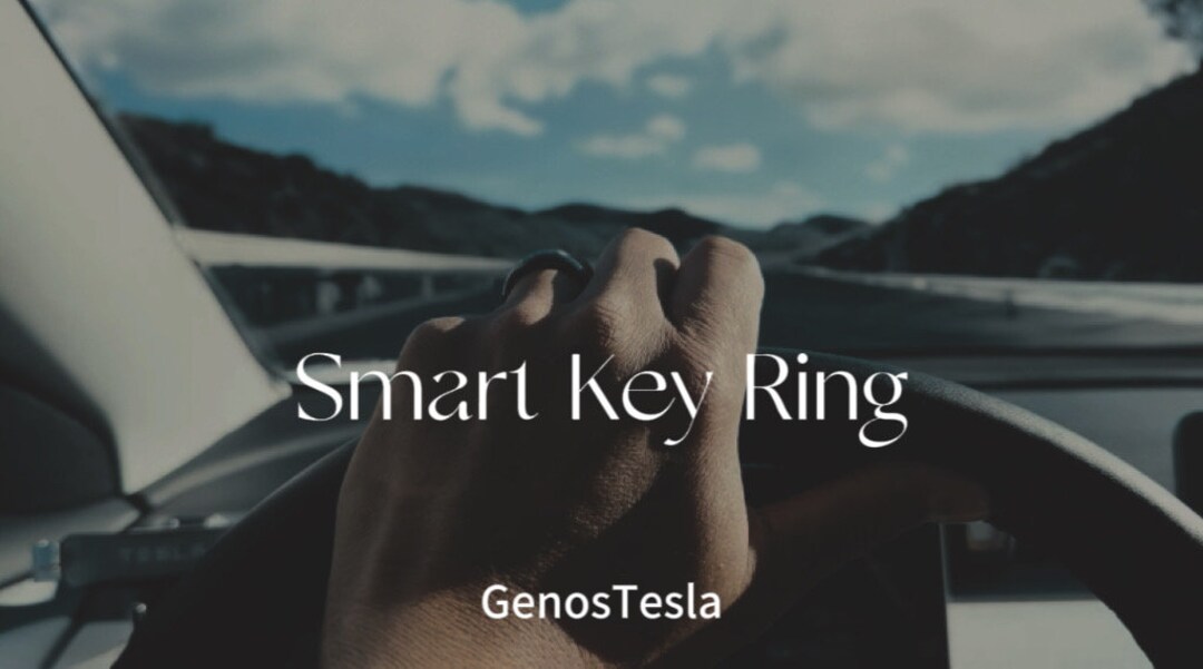 Smart Key Ring Design for Tesla Model 3/Y: Crafted From - Etsy