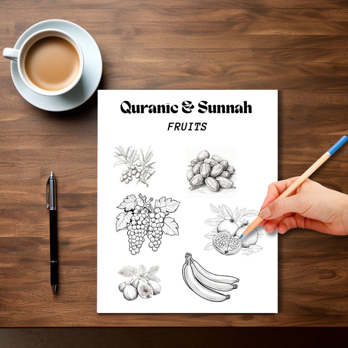 Printable Islamic Fruit Coloring Page| Unlimited Print| Quran and ...
