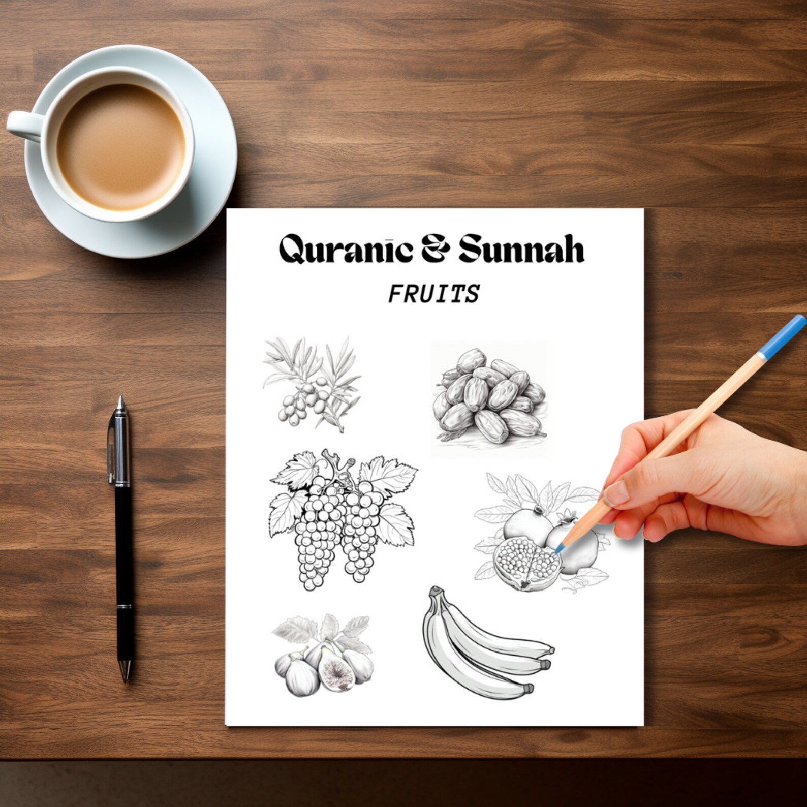 Printable Islamic Fruit Coloring Page| Unlimited Print| Quran and ...