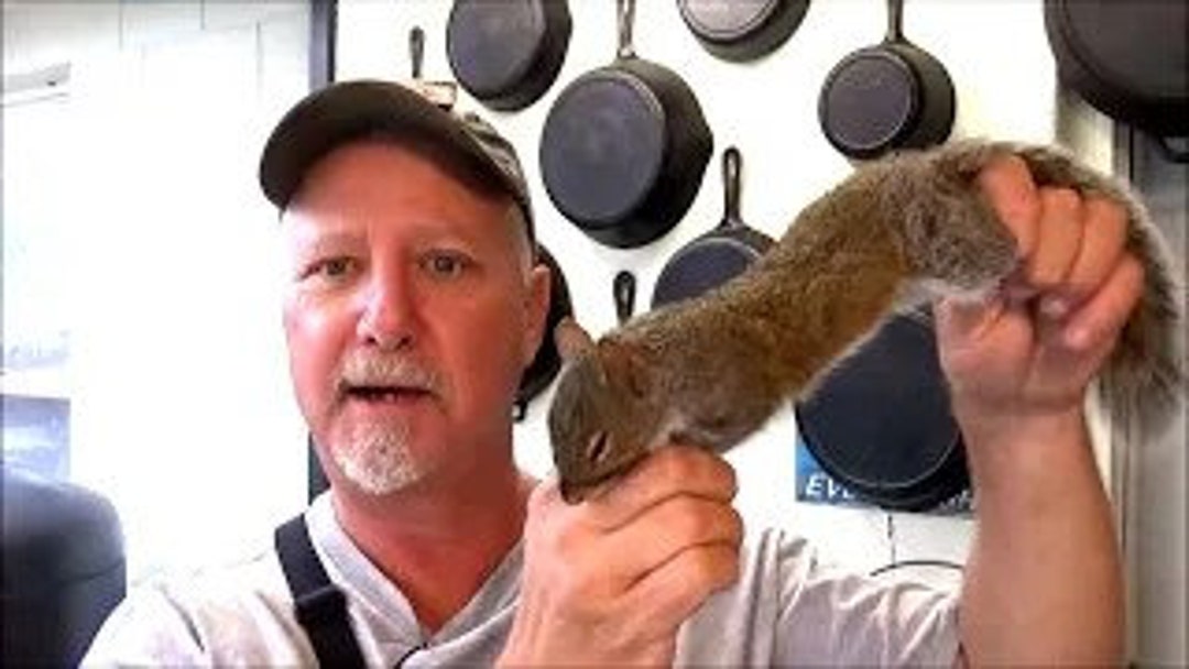 Smother Fried Squirrel Recipe - Etsy