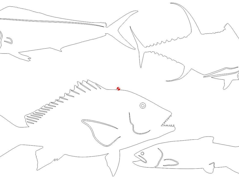 Saltwater Fish Dolphin Snapper Tuna Salmon SVG File - Etsy