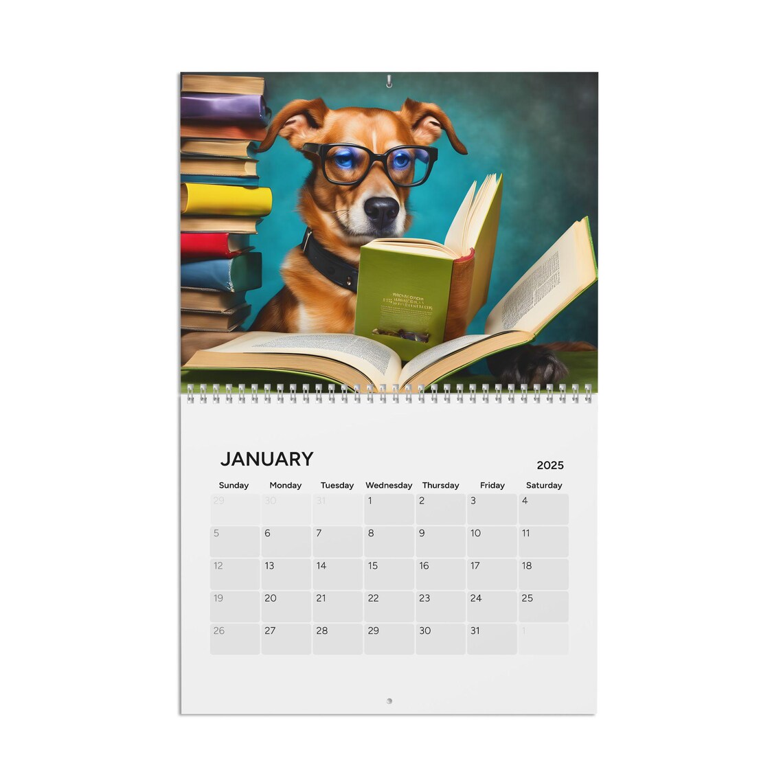 Dog Daze Humorous Dog Lover Calendar 2025, Birthday Gift, Christmas ...