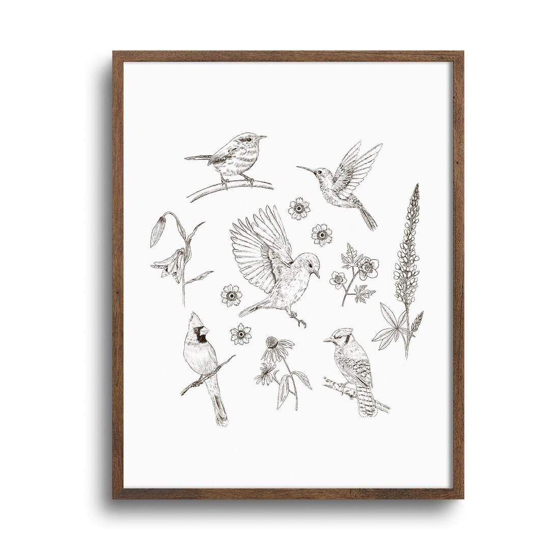 North Carolina Birds & Wildflowers Print - Etsy