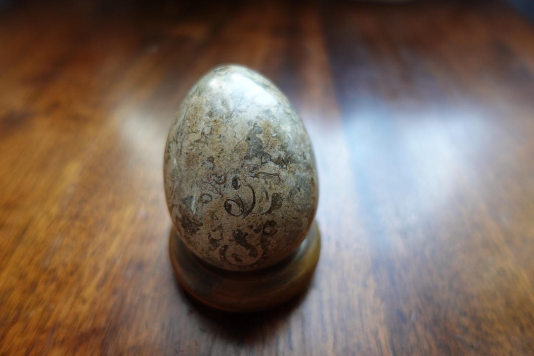 Vintage Polished Marble Egg With Stand: Brown Speckled Decor - Etsy