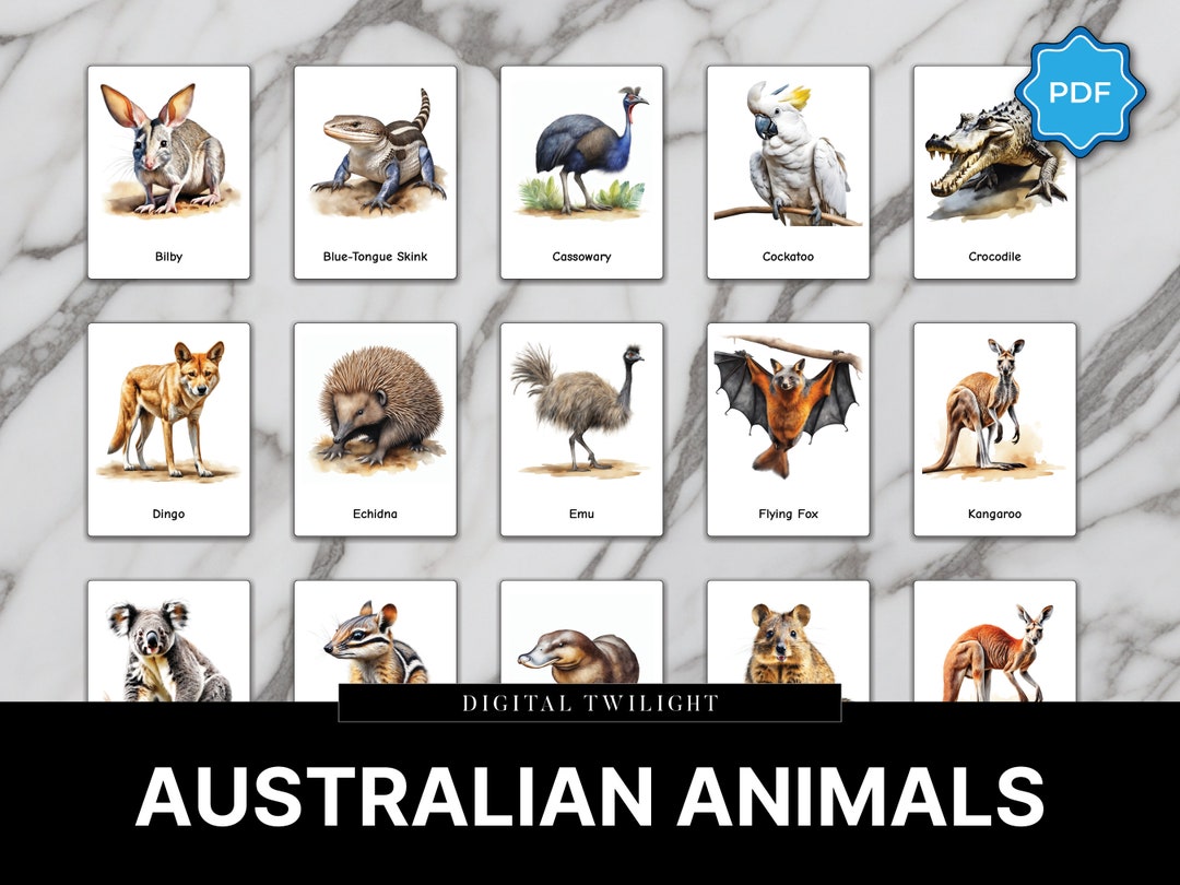 AUSTRALIAN ANIMALS 20 Editable Flash Cards Montessori - Etsy