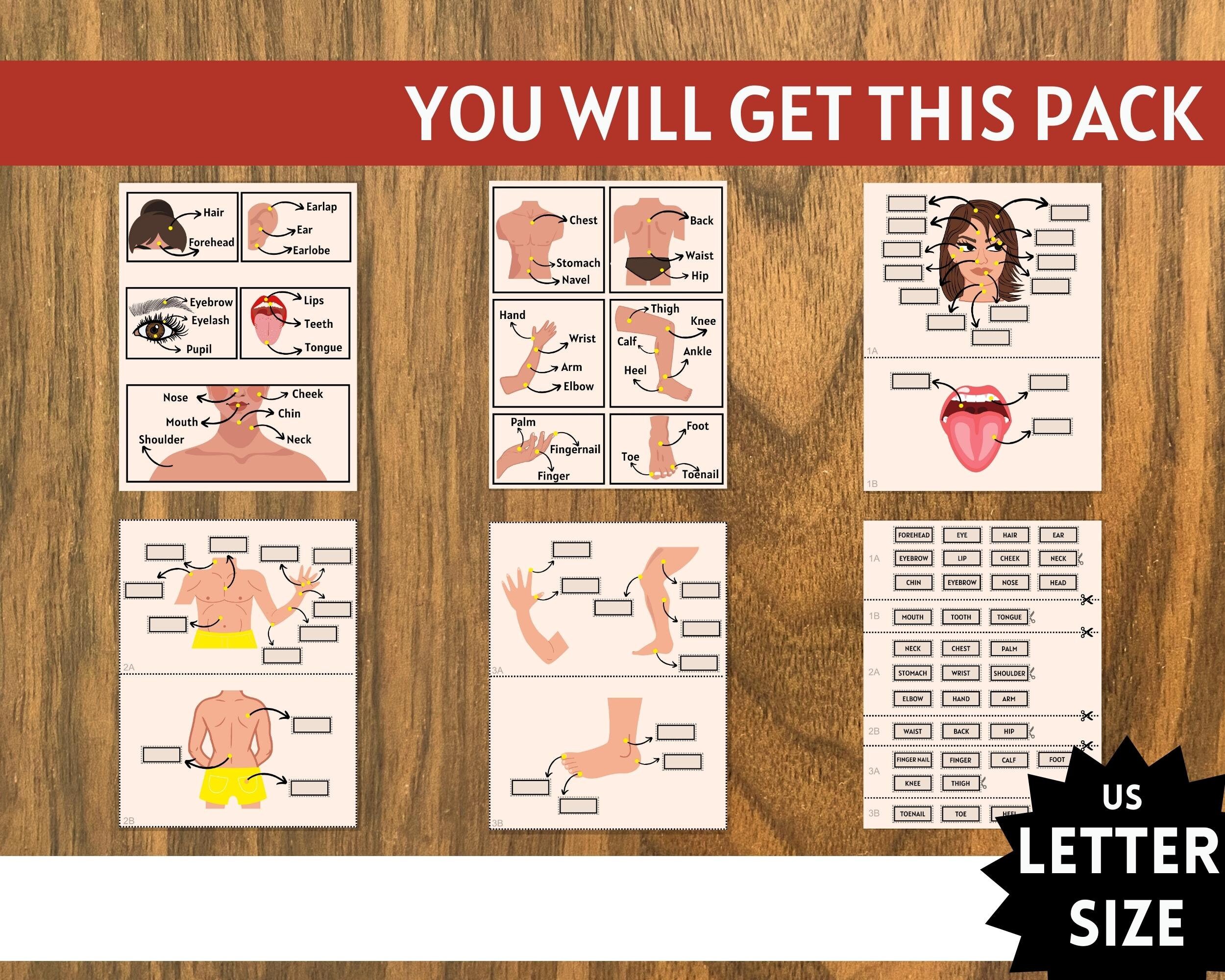 Body Recognition | Learning Body Parts | Matching Game | Printable ...