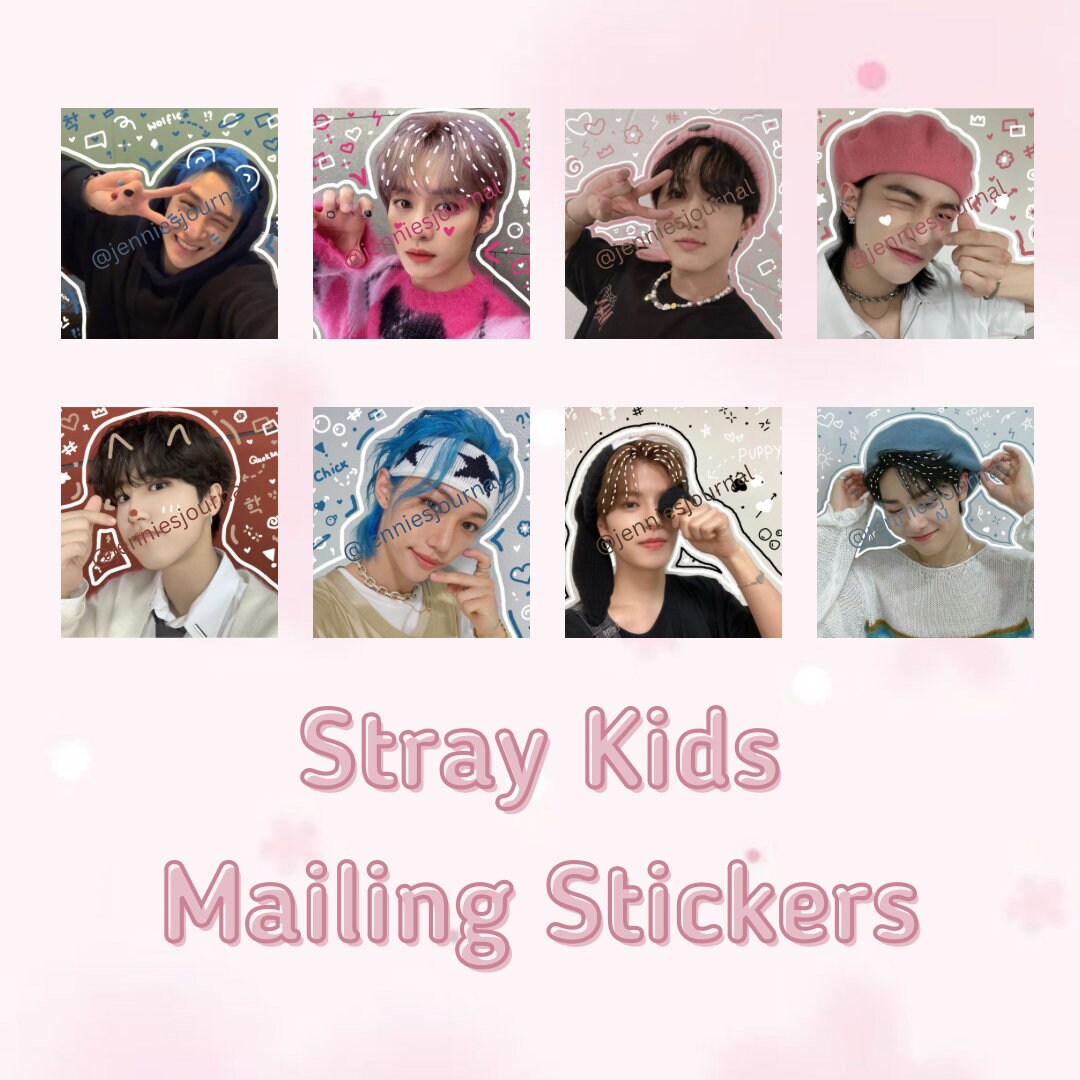 Stray Kids K-pop Mailing Stickers - Etsy