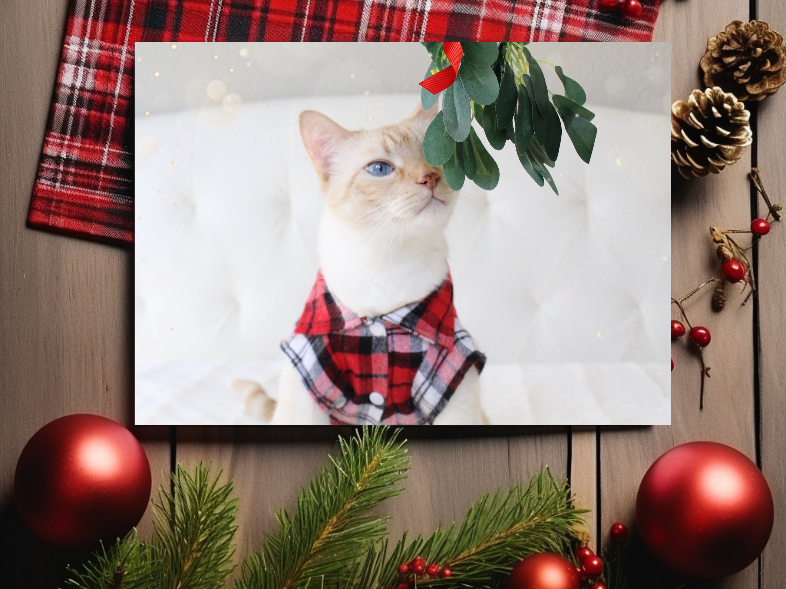 Printable Christmas Card, Happy Holidays Card, Digital Download, 5X7 ...