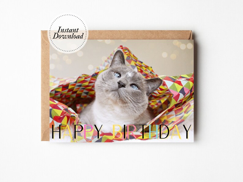 Printable Birthday Card, Happy Birthday, Cat in Tissue Paper, Printable ...