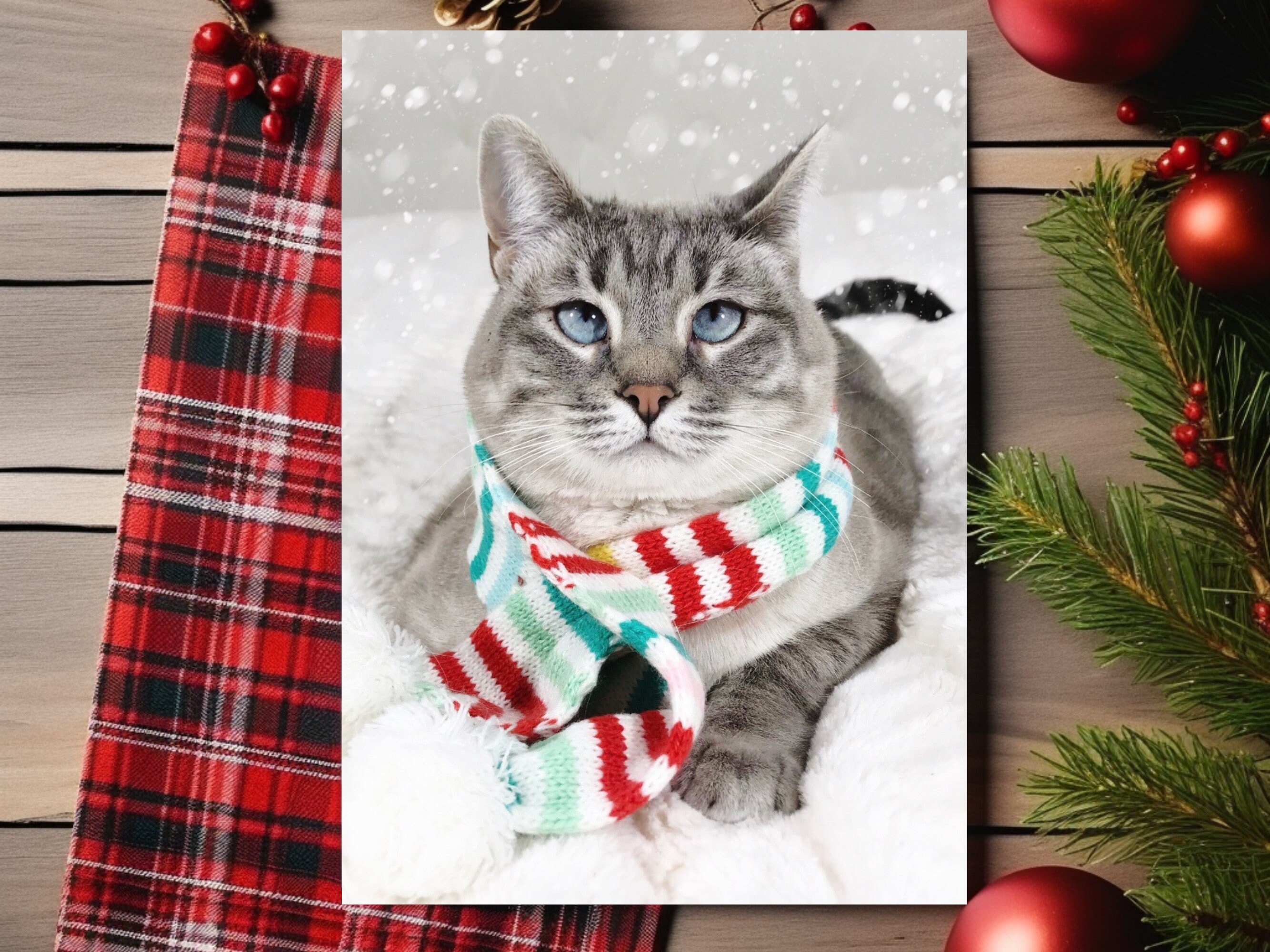 Printable Christmas Card, Happy Holidays Card, Cute Cat Lover Card ...