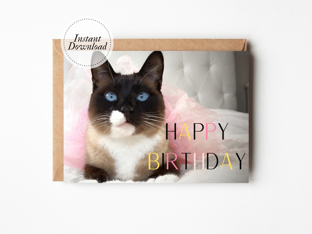 Printable Birthday Card, Happy Birthday Cat, Printable Cat Card, Funny ...