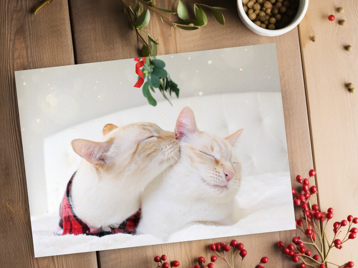 Printable Christmas Card, Happy Holidays Card, Digital Download, 5X7 ...