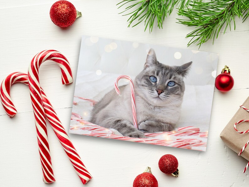 Printable Christmas Card, Happy Holiday Card, Digital Download, 5X7 ...