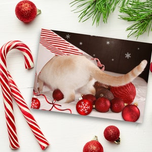 Printable Christmas Card, Happy Holidays Card, Digital Download, 5X7 ...