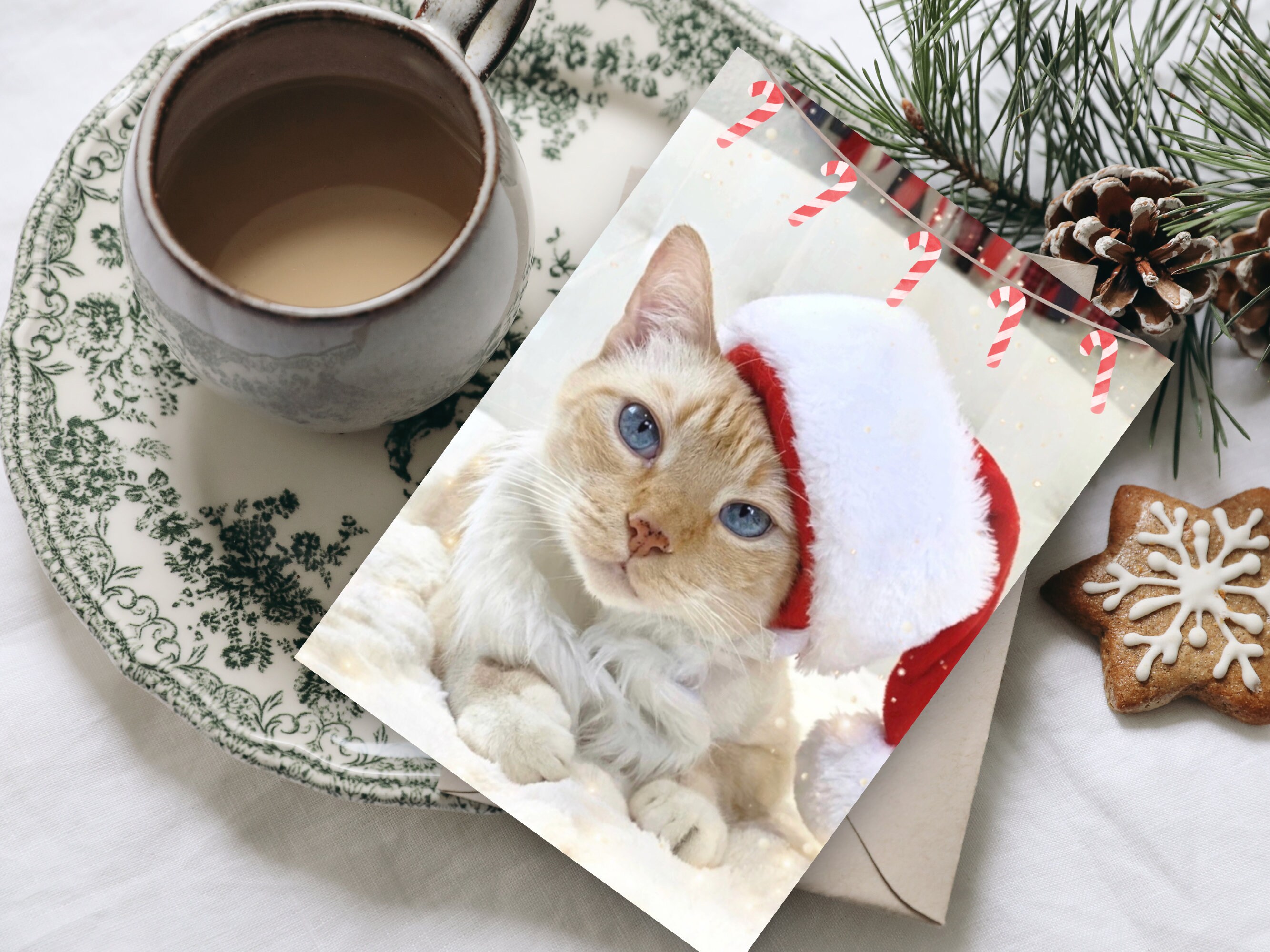 Printable Christmas Card, Happy Holidays Card, Digital Download, 5X7 ...