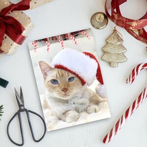 Printable Christmas Card, Happy Holidays Card, Digital Download, 5X7 ...