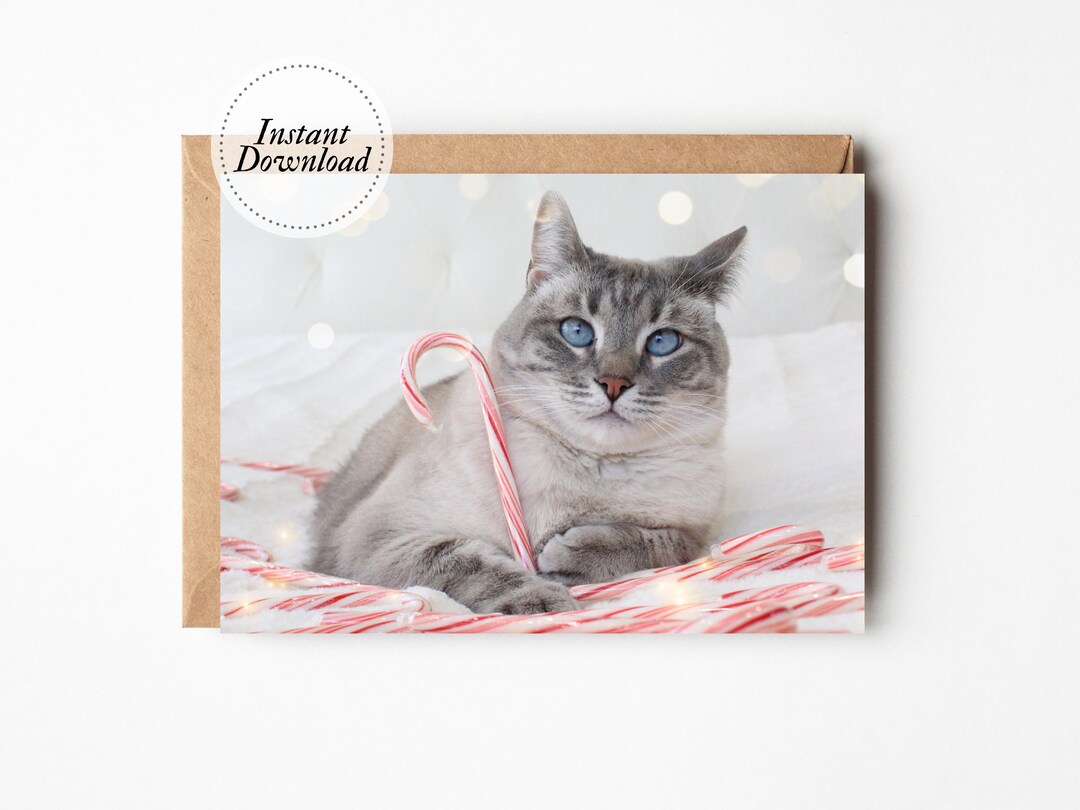 Printable Christmas Card, Happy Holiday Card, Digital Download, 5X7 ...