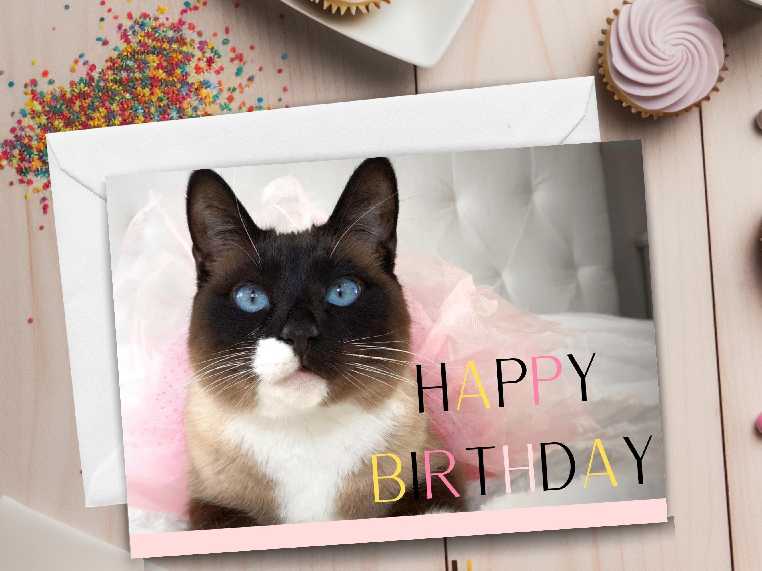 Printable Birthday Card Happy Birthday Cat Printable Cat - Etsy