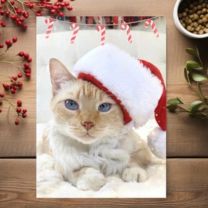 Printable Christmas Card, Happy Holidays Card, Digital Download, 5X7 ...